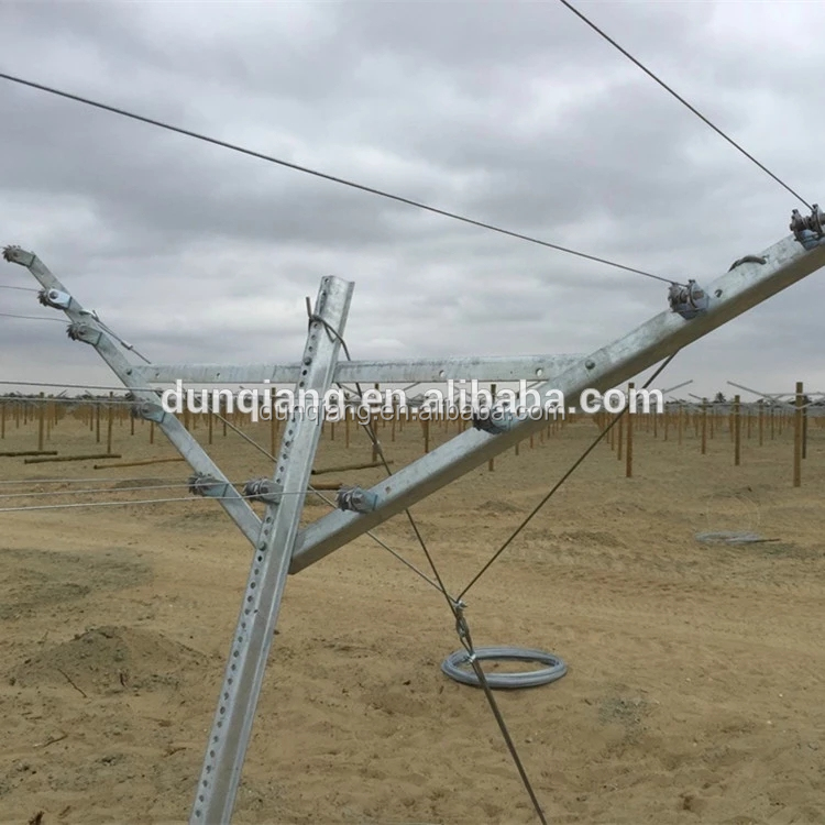 Galvanized Steel Vineyard Trellis Post/u Shape Grape Post To Support ...