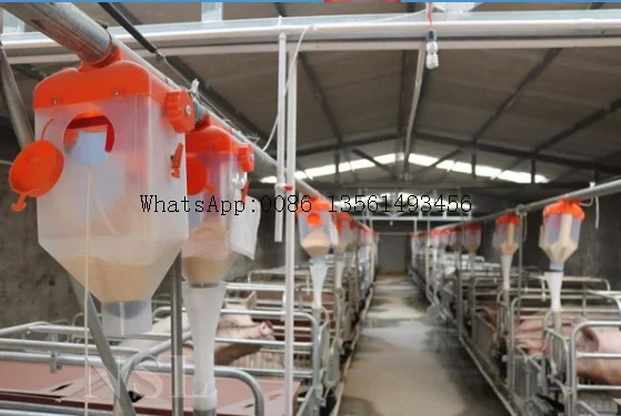 Pig Automatic Feeding System Dispenser For Pig Farm - Buy Dispenser,Pig ...