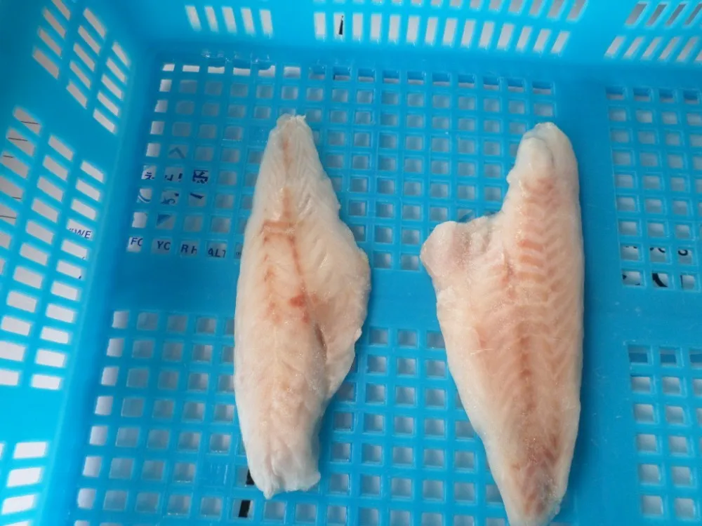 Frozen Grouper Whole Round - Buy Grouper,Grouper Fillet,Fish Fillet ...