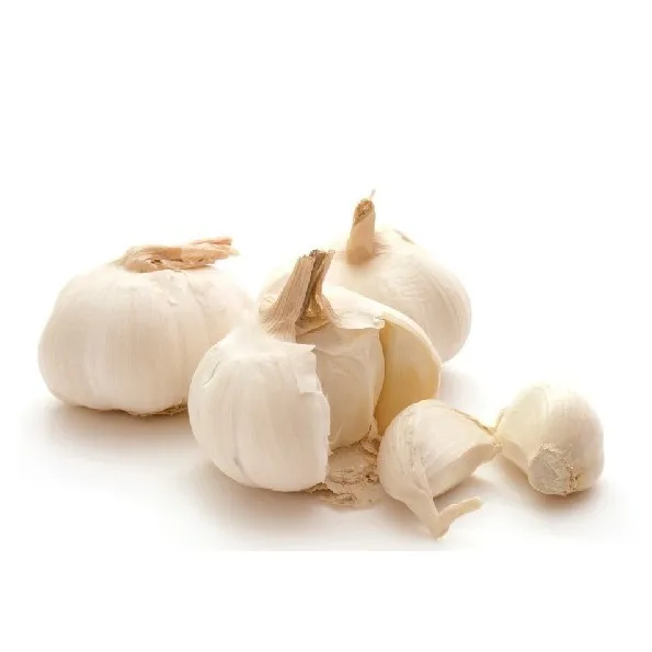 2016 Fresh Garlic 3p 4p 5p Packing - Buy Garlic Press,Garlic Price ...