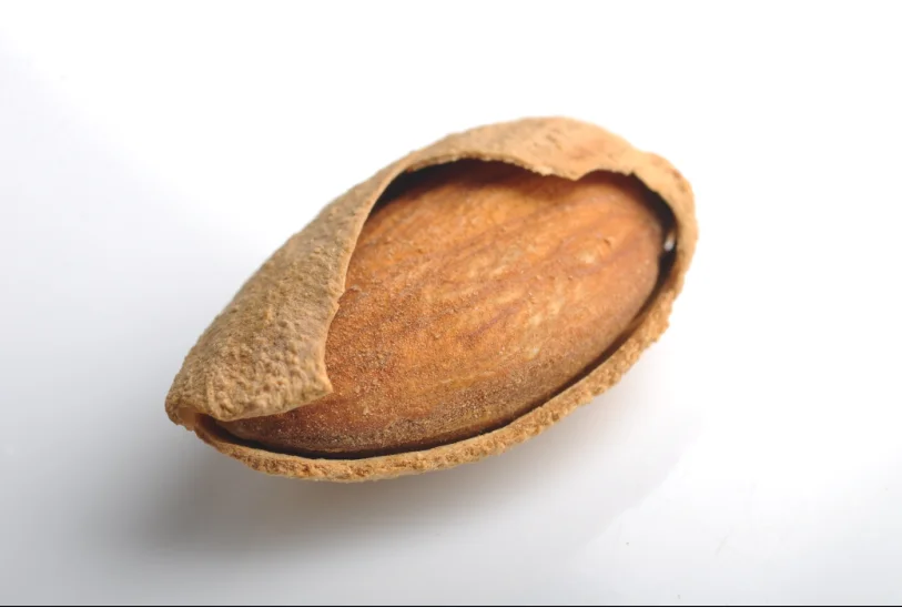 Chinese Badam Almond In Shell With Qs Standard - Buy Organic Chinese ...