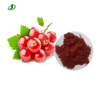 Natural Red Currant Extract Powder,Gooseberry Fruit Extract Powder ...