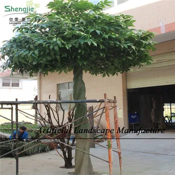 Sjzjn 2106 Beautiful Fake Evergreen Money Tree On Sale,Artificial Money ...