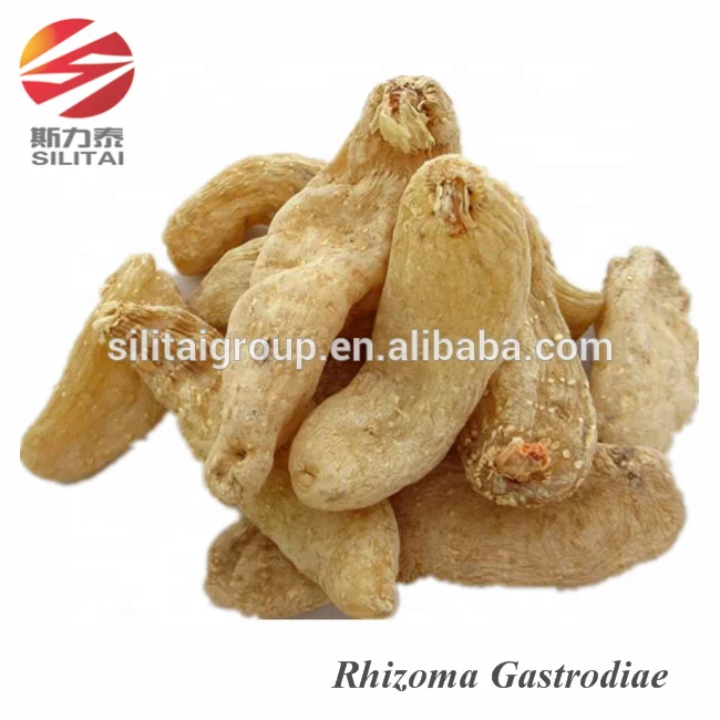 Raw Herbs Bulk Dried Gastrodia Root/gastrodia Tuber/ Rhizoma Gastrodiae ...