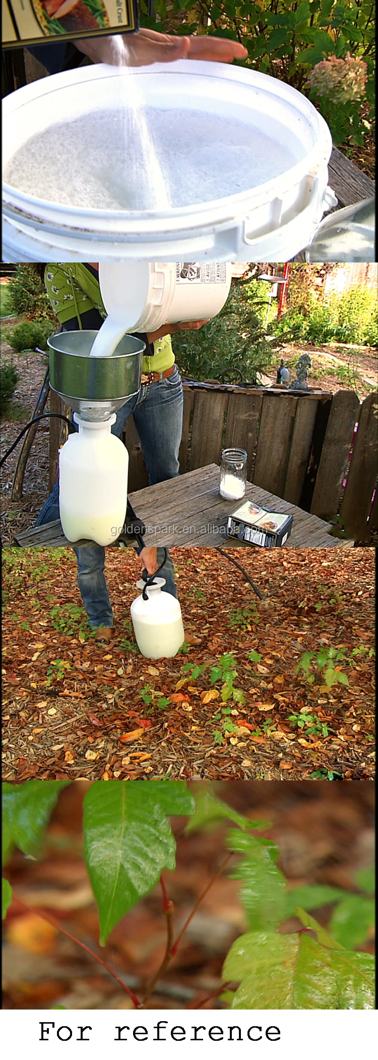 5l Lawn And Garden Plastic Pressure Sprayer With Funnel - Buy Manual ...