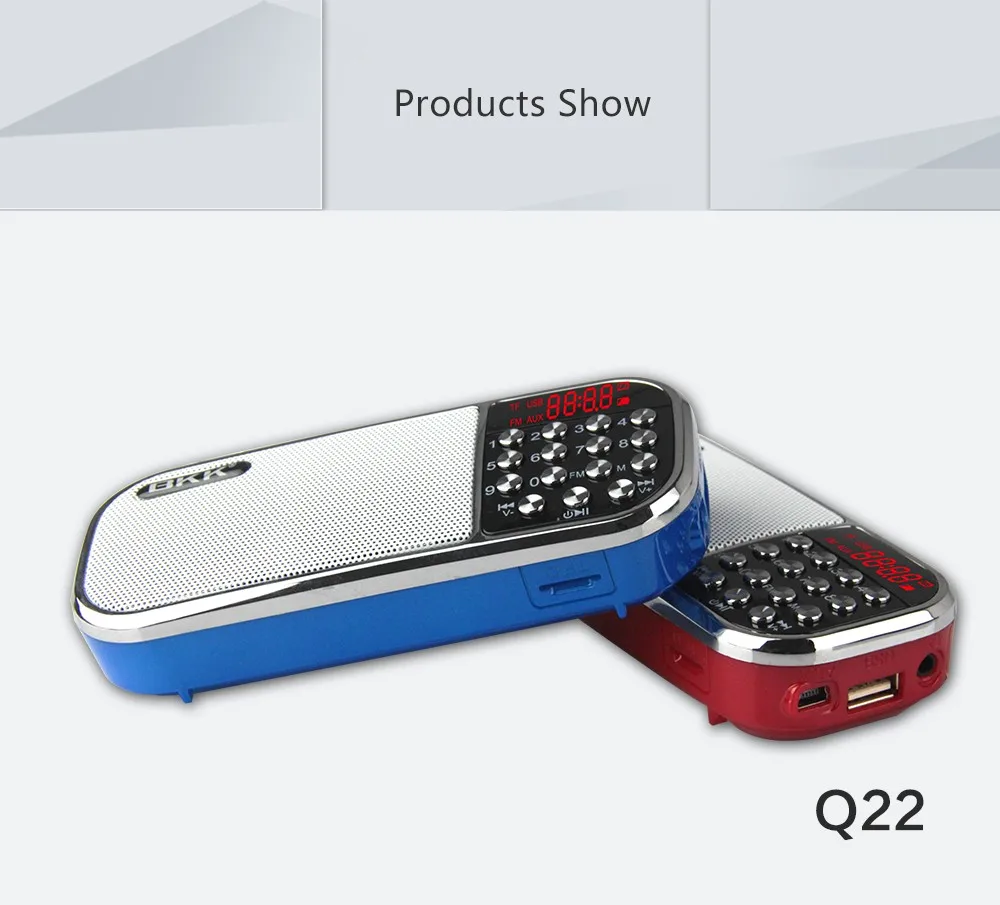 Source exclusive Portable usb radio multimedia