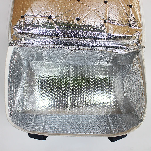 Ice Cream Delivery Thermal Insulation Cooler Bag - Buy Thermal ...