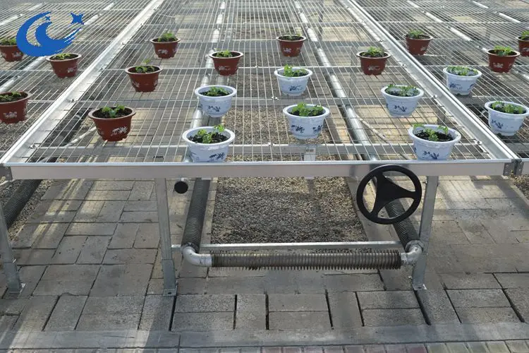 Greenhouse Seedling Benches Welded Wire Mesh Benches(agriculture Plant ...