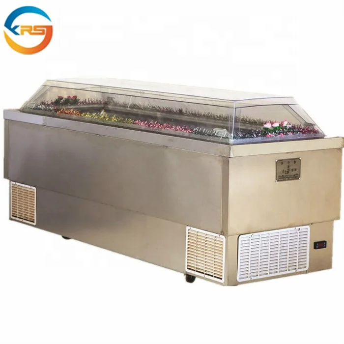 Cooling Coffin Casket for Goodbye View - Mortuary Freezer Coffin with ...