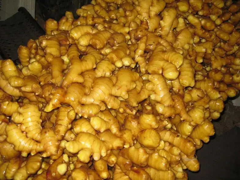 Chinese Fresh Ginger 100--250g Up Package As Order - Buy Fresh Ginger ...