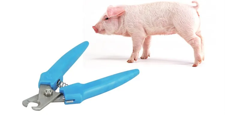 Piglet Cutting Tails Tool Pig Farming Equipment Stainless Steel Animal ...