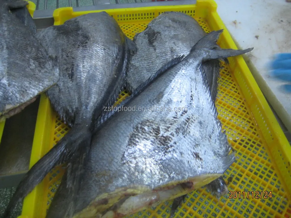High Quality Frozen Fish Brama Fillet With Eu Sttp - Buy Frozen Fish ...