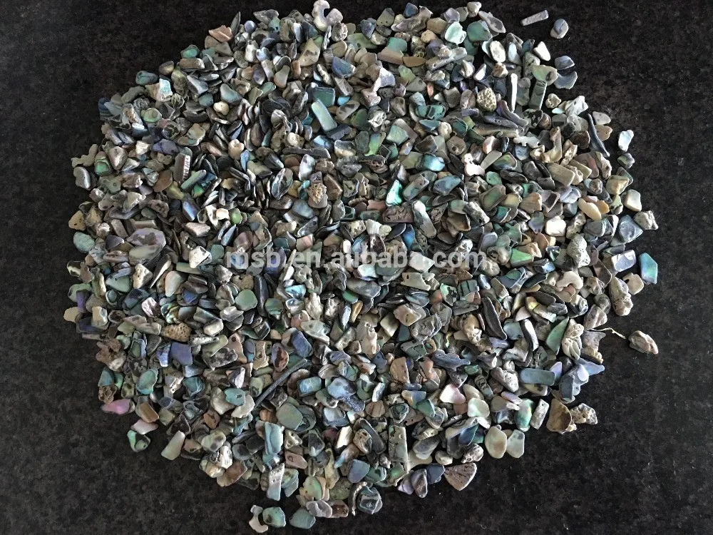 Natural Abalone Paua Crushed Abalone Shell Chips Blanks - Buy Abalone ...