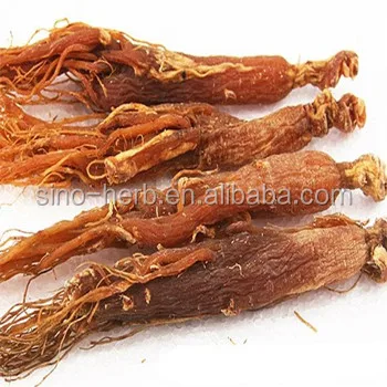Free Sample Pure Natural Herb Chinese Ginseng Oriental Ginseng Red ...