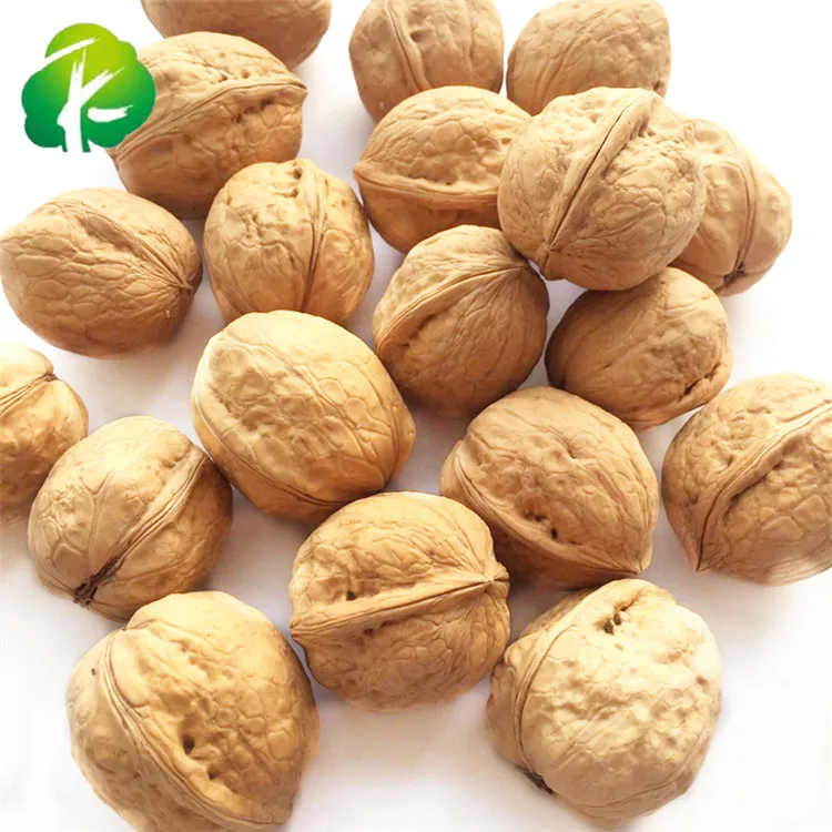 High Quality Best Price Oganic Walnuts With Thin Shell - Buy Walnut,Chinese Walnut,Walnut China ...