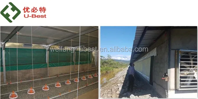 Broiler Chicken Poultry Closed System - Automatic & Efficient