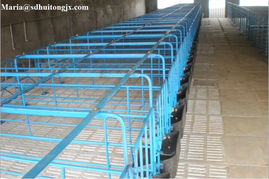 Piggery Equipment - US Style Gestation Stalls with Support