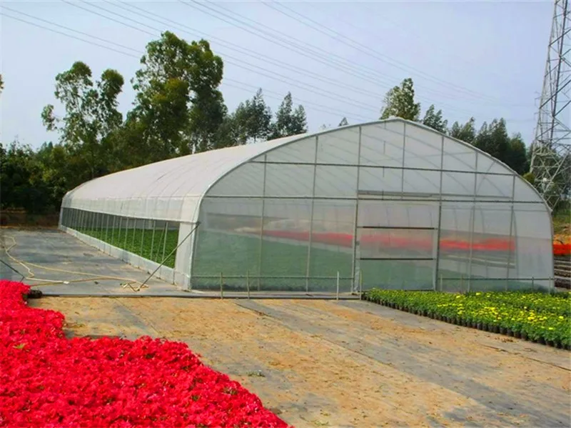Israel Greenhouse With High Technology Design And Equipment - Buy ...
