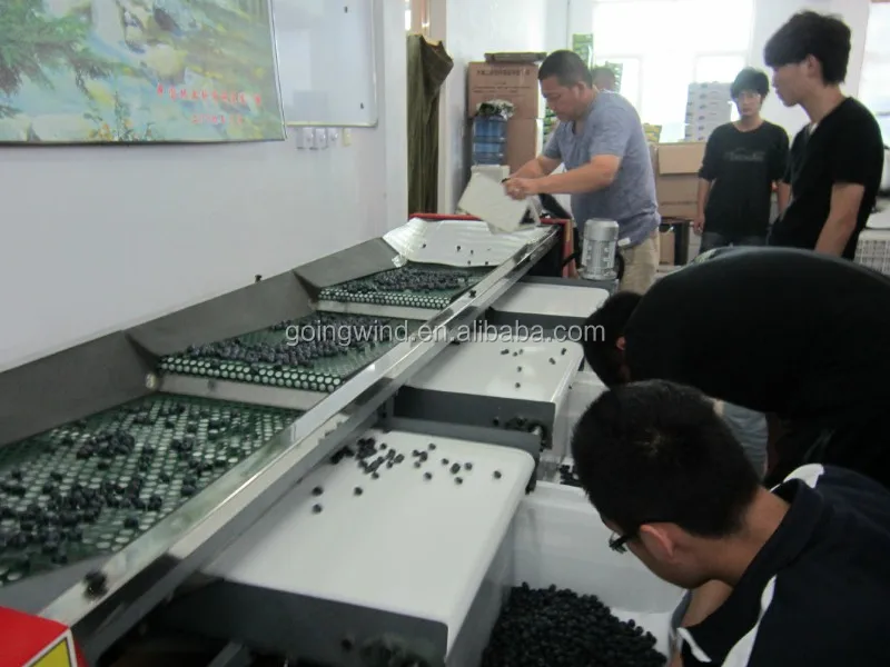 Automatic Commercial Blueberry Size Grading Sorting Machine Industrial ...