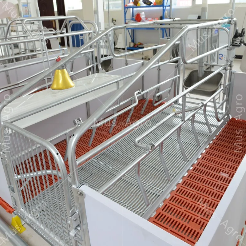 European Type Sow Stalls Pig Farrowing Pens - Buy Pig Farrowing Pens ...