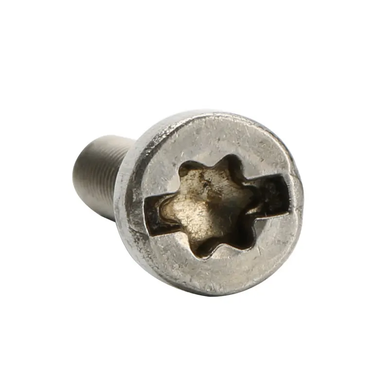 Anti Theft Special Drive Slotted-Torx Compound Slot Screw