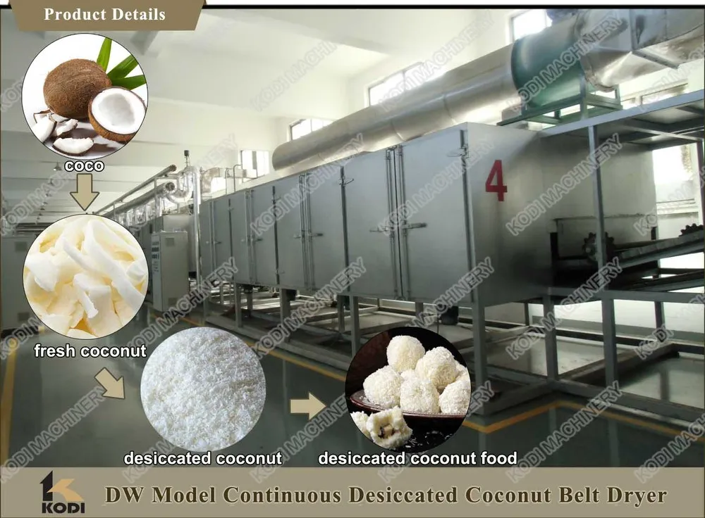 Kodi Dw Model Desiccated Coconut Drying Machine - Buy Desiccated ...