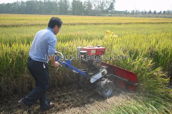 Mini Green Pepper Harvesting Machine - Efficient & Durable