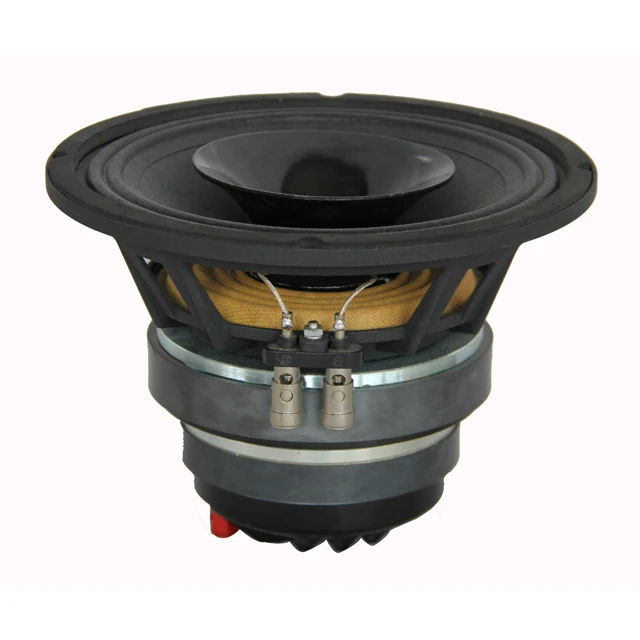 8 Inch Midrange Speaker - 100W RMS Pro Audio Loudspeakers