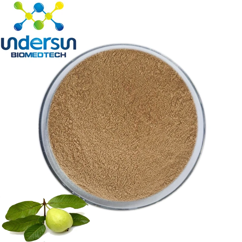 Undersun Supply Natural Guava Leaf Extract Powder - Buy Guava Leaf ...