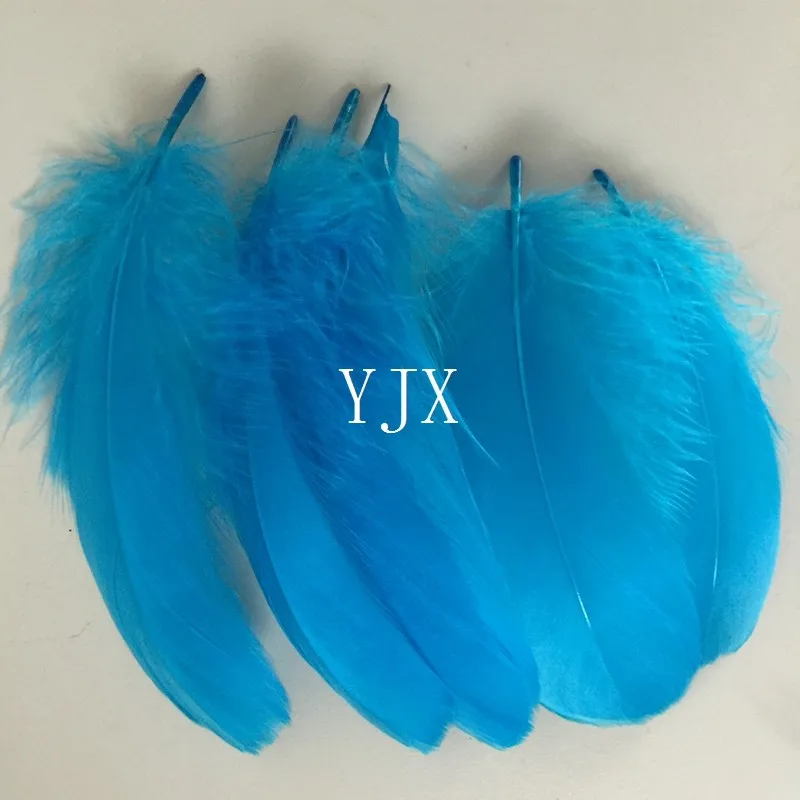 Piuma professionale fornitore all'ingrosso di piume d'oca tinte a buon ...