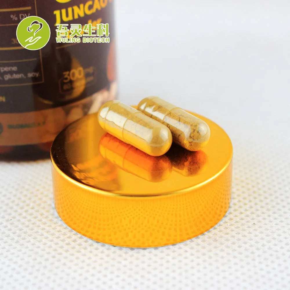 Juncao Ganoderma Lucidum Extract Powder - Reishi Extract