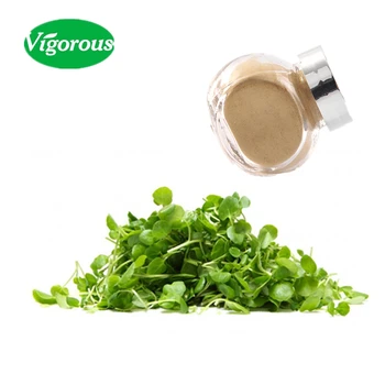 Gmp Factory Natural 10:1 Powder Nasturtium Officinale Watercress ...