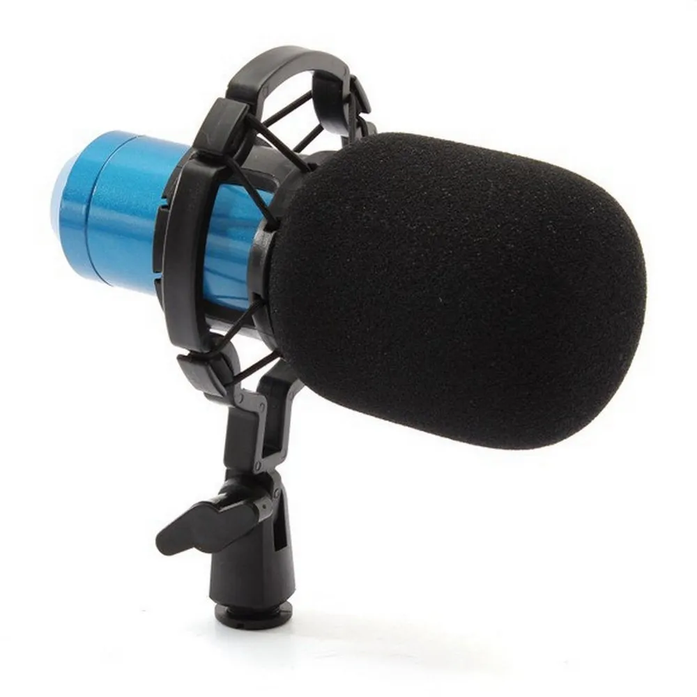 BM700 Recording Dynamic Condenser Microphone with Shock Mount With ...
