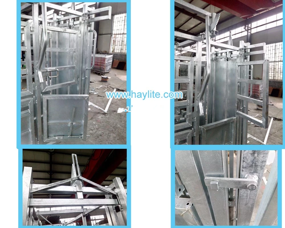 Heavy Duty Galvanised Steel Cattle Squeeze Chute| Alibaba.com