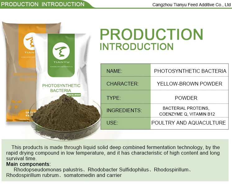 Sell Liquid And Dry Powder Photosynthetic Bacteria For Aquaculture ...