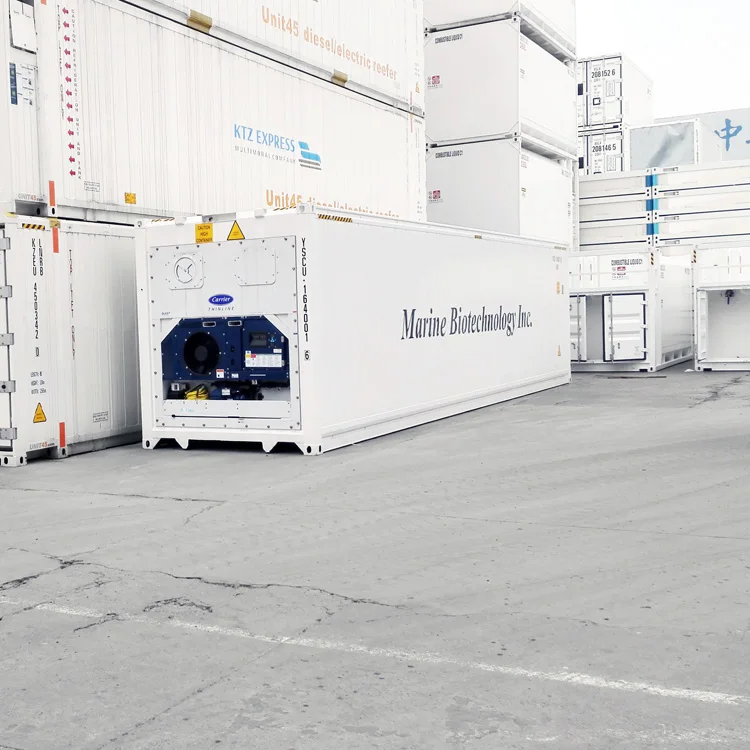 45 Foot Reefer Container Equip Thermo King,Carrier Or Daikin Cooling ...