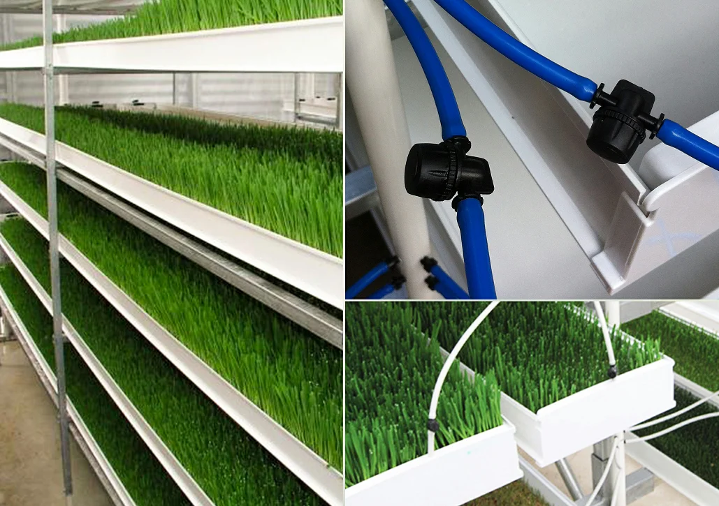 1000kg Fodder Container System - Hydroponic Barley Machine