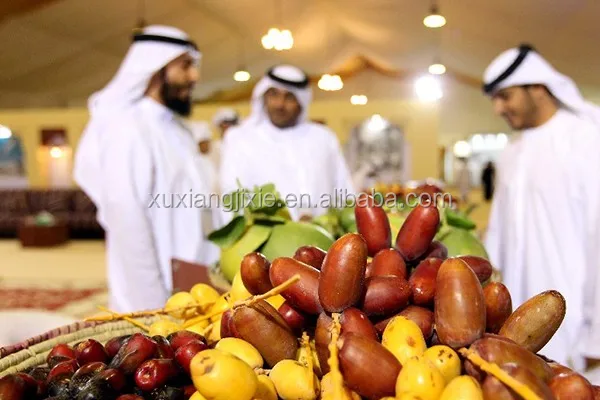 Fruit Dates Syrup Processing Machine - Efficient Production