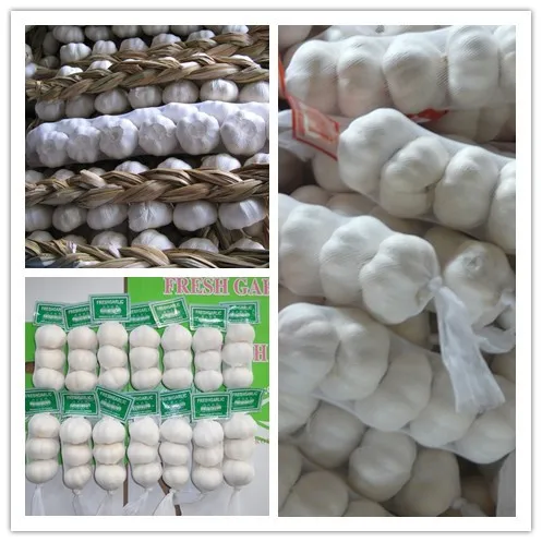 Garlic Mesh Bags - Buy Garlic,Garlic Bags,Mesh Bag Garlic Product on ...