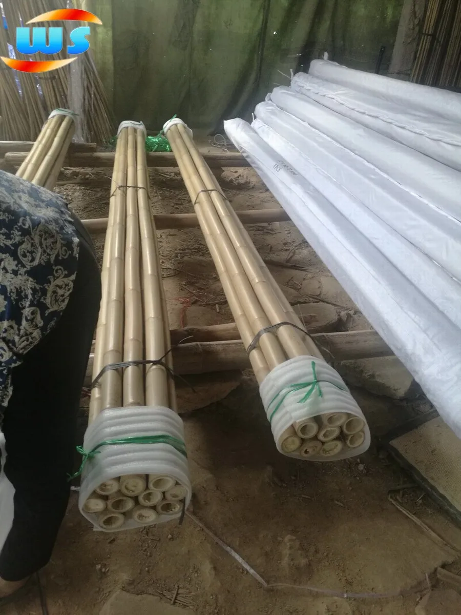 Bamboo Cane For Sale - Buy Bamboo Cane Cheap,Wholesale Bamboo Cane ...