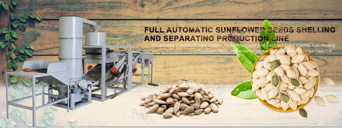 Industrial Automatic Seed Dehuller & Shelling Machine for Pumpkin ...