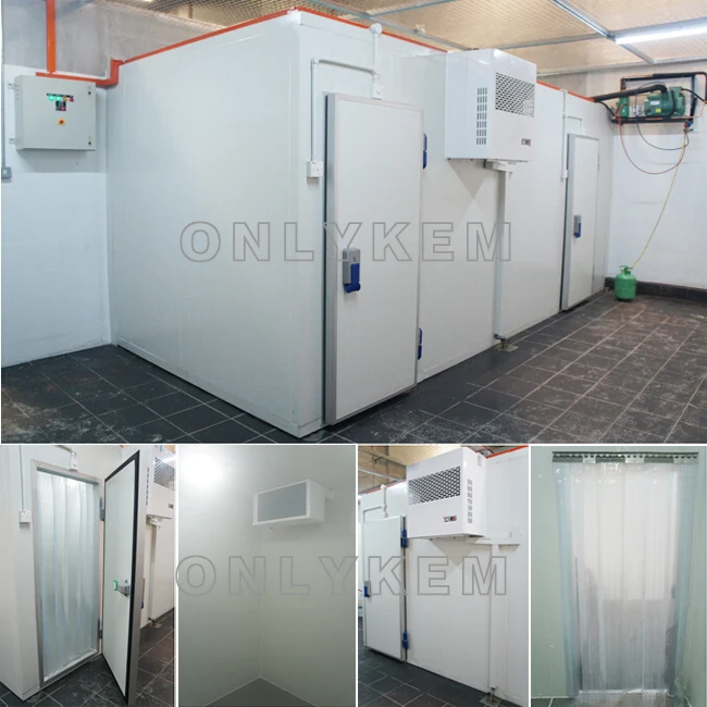 Slaughterhouse Mobile Cold Room Storage Freezer For Poultry - Buy ...