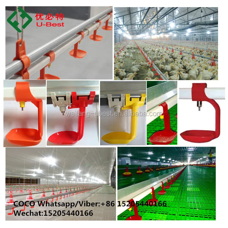 Ethiopia Chicken Farm Poultry Equipment for Sale