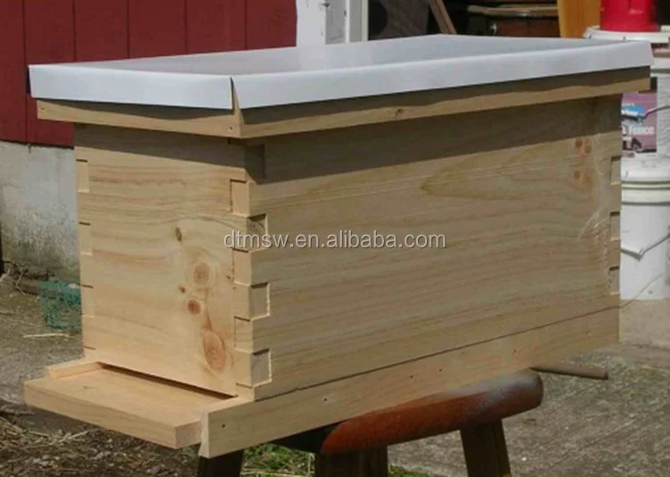 5 Frame Wood Nuc Box Bees For Beekeeping - Buy 5 Frame Wood Nuc Box ...