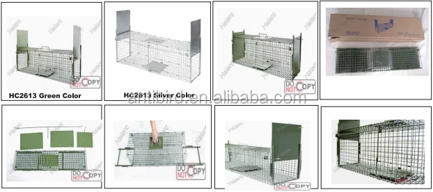 New Style Haierc Foldable Live Animal Control Trap Cage - Buy Foldable ...