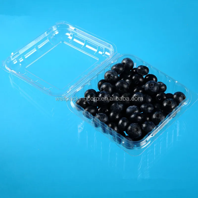 125g Clamshell Clear Disposable Blueberry Container