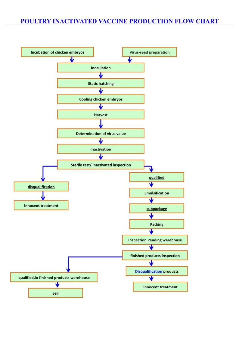 Infectious Coryza Vaccine For Chicken,Inactivated For Poultry Vaccine - Buy Killed Ic Vaccine ...