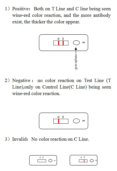 Pig Disease Diagnostic Kit - Rapid PCV2 Test by ZHENRUI