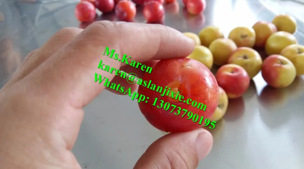 Jujube Pitting Machine / Jujube Date Seeds Pitting Machine / Olive Pit ...