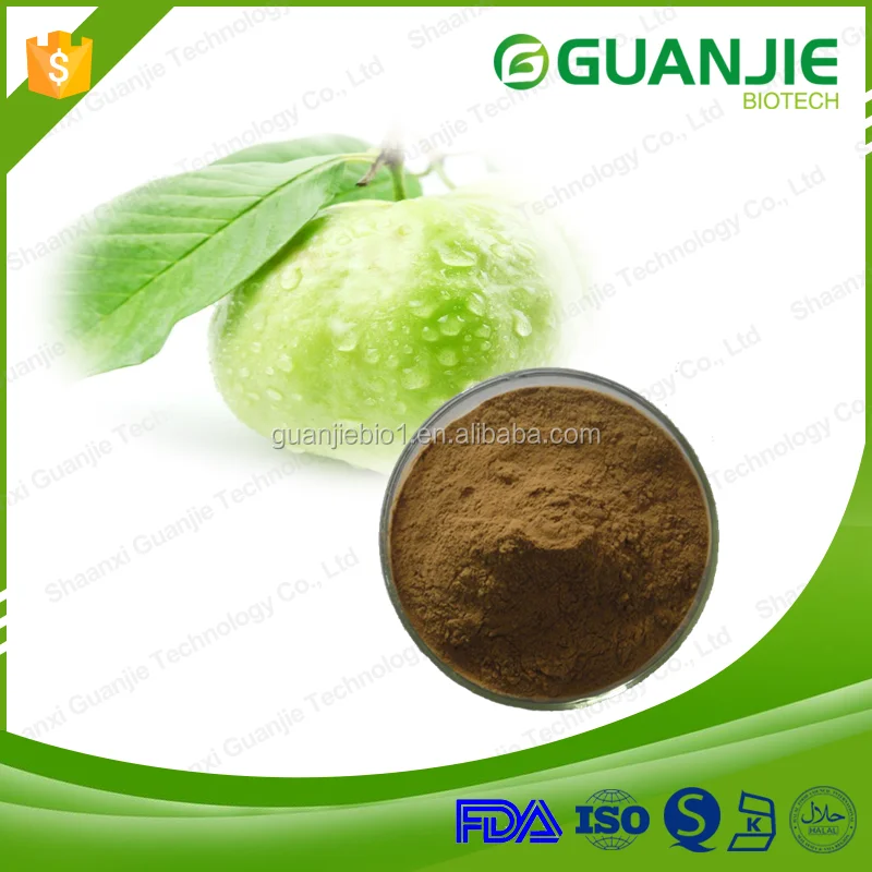 100% Natural Guava Leaf Extract Powder - Buy Guava Leaf Extract,Guava ...